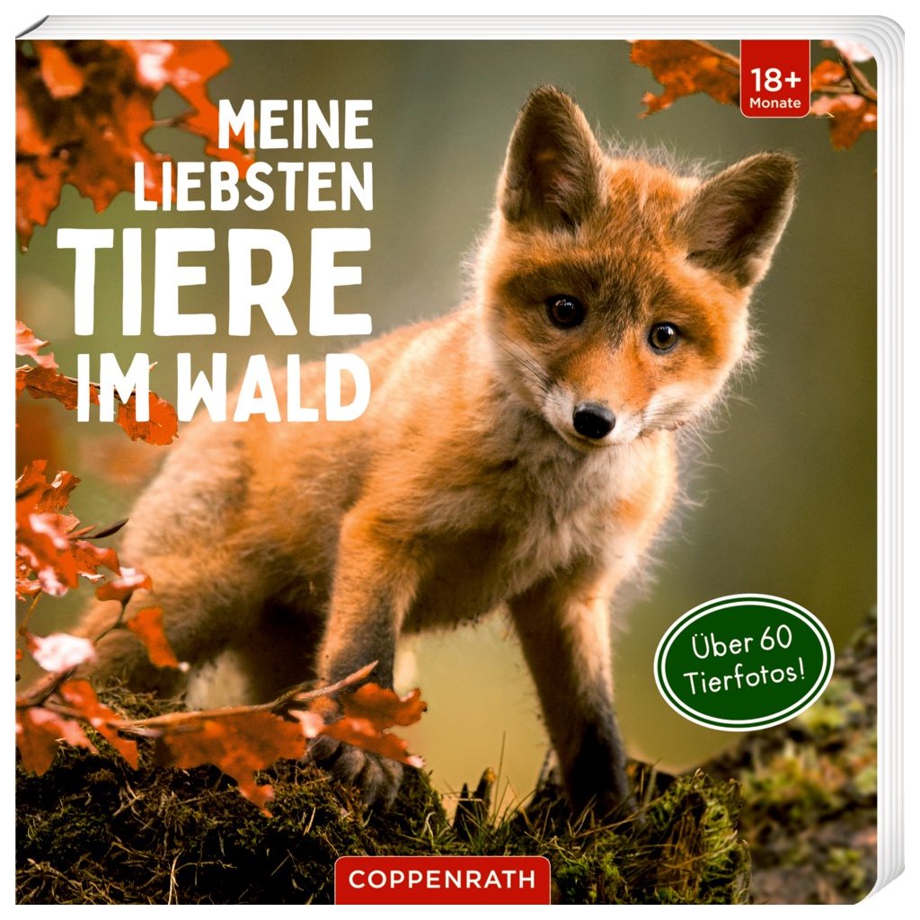 Coppenrath Kinderbuch Meine liebsten Tiere im Wald